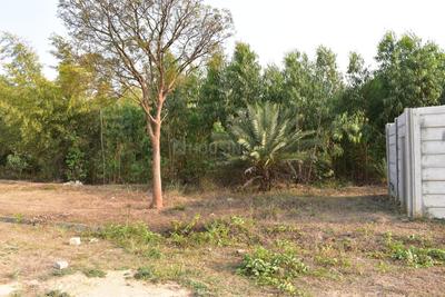 Nesara Garden County Farms in Nelamangala, Bangalore - Price, Reviews ...