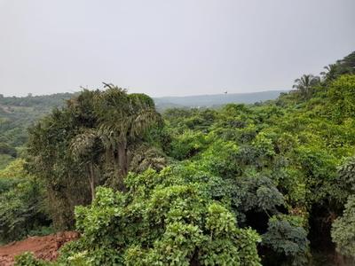 Archizi Amara Living in Socorro, Goa - Price, Reviews & Floor Plan