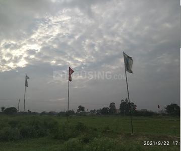 Jubilee City Gardens Photos & Videos Sector 116, Mohali