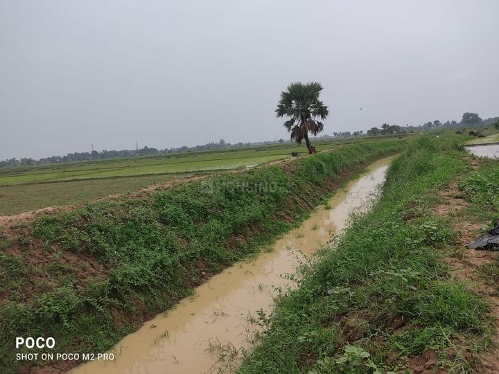 1200 Sqft Agricultural Land for Sale in Sampatchak, Patna | Property ID ...