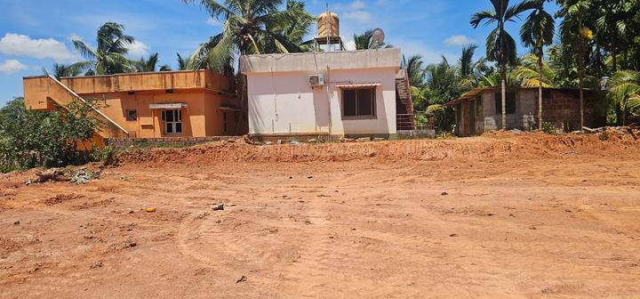 21780 Sqft Agricultural Land for Sale in Katipalla, Mangalore ...