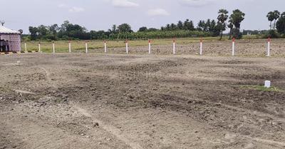 Triplicane, Chennai | Triplicane Map, Pros & Cons, Photos, Reviews and ...