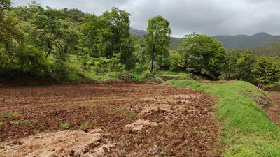 Agricultural Land in Pune | | 27+ Agricultural & Farm Land for Sale in Pune