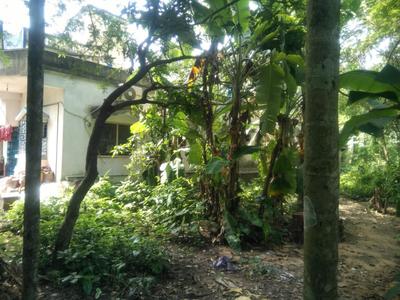 🏠Buy Residential Plots for sale in Jagannathbati | Lands for sale in ...