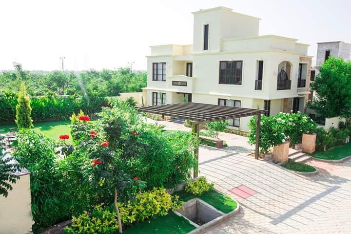 Residential 216 Sqft Plot for sale at Sontyam, | Property ID - 19136306