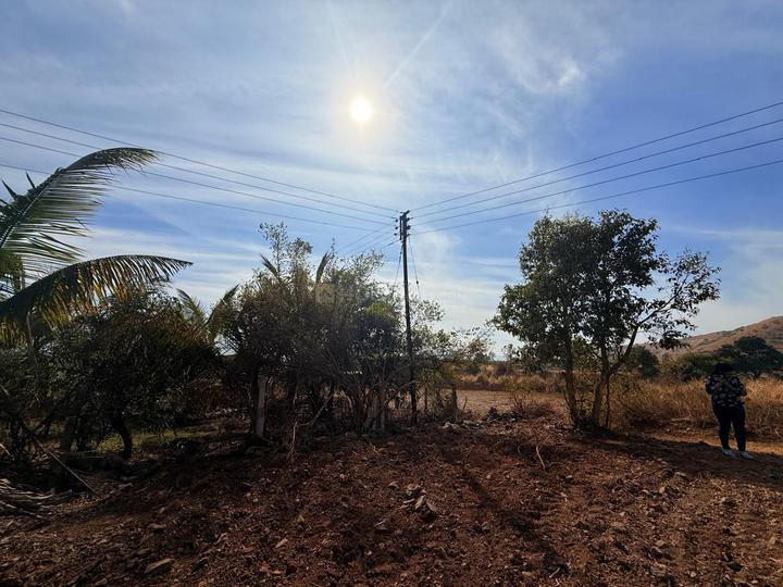 Residential 1000 Sqft Plot for sale at Trimbak, | Property ID - 19345727