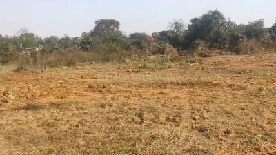 Gamharia, Jamshedpur | Gamharia Map, Pros & Cons, Photos, Reviews and ...