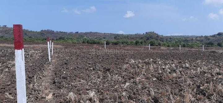 Residential 1089 Sqft Plot for sale at Ranjanpada, Navi Mumbai ...