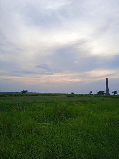 Residential 1000 Sqft Plot for sale at Saran, Chhapra | Property ID ...