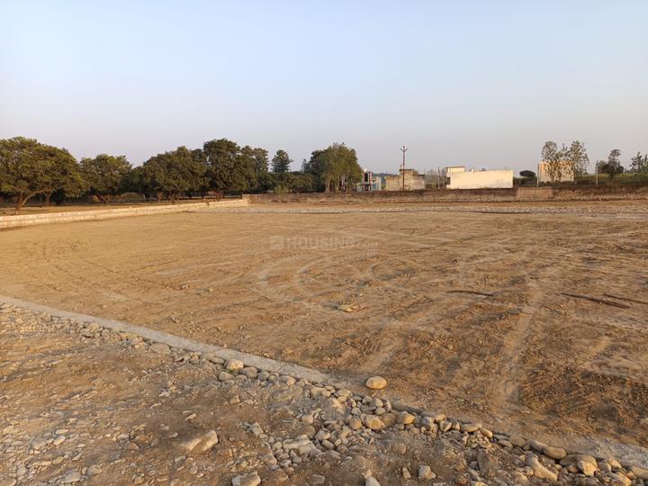 Residential 1500 Sqft Plot for sale at Clement Town, | Property ID ...