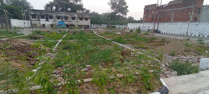 Residential 885 Sqft Plot for sale at Aishbagh, | Property ID - 19361469