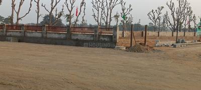 Residential 900 Sqft Plot for sale at Nevta Village, | Property ID ...