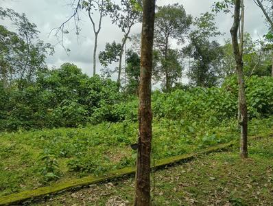 Thiruvalla, Pathanamthitta | Thiruvalla Map, Pros & Cons, Photos ...