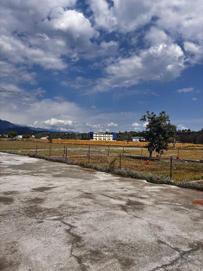 Residential 900 Sqft Plot for sale at Bhauwala, | Property ID - 19270483