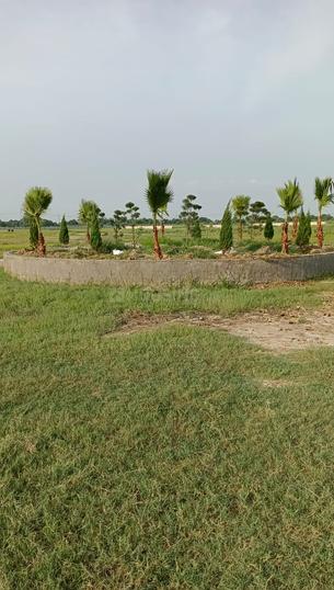 Residential 450 Sqft Plot for sale at Dankaur, Greater Noida | Property ...