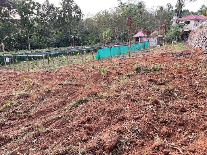 Residential 600 Sqft Plot for sale at Punnapra North, Alappuzha ...