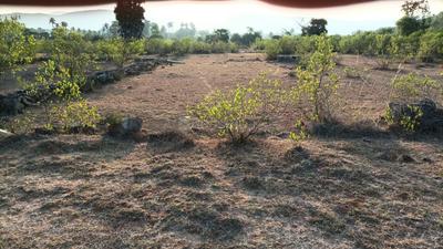 Madhurawada, Visakhapatnam | Madhurawada Map, Pros & Cons, Photos ...