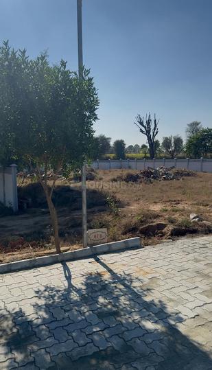 1 BHK 5000 Sqft Farm House for sale at Sirsi, Jaipur | Property ID ...