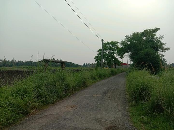 1440 Sqft Residential Plot for sale in Wander Valley | Bara Gagan ...