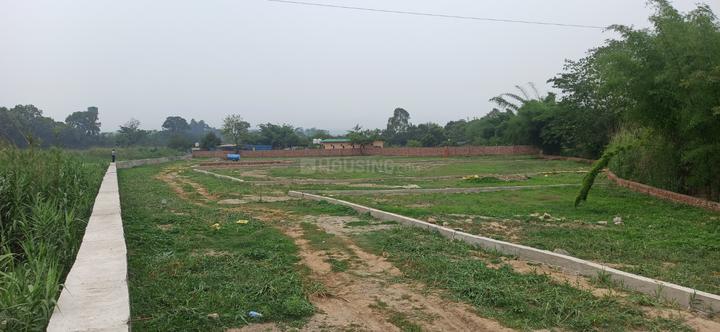 Residential 900 Sqft Plot for sale at Selakui, | Property ID - 18142198