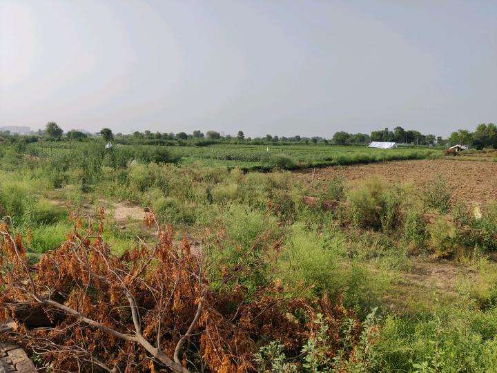 Residential 540 Sqft Plot for sale at Wave City, NH - 24 Ghaziabad ...