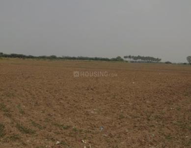 Agricultural Land in Punjab | | 17+ Agricultural & Farm Land for Sale ...