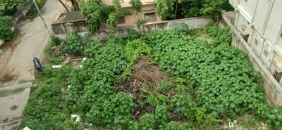 Nacharam, Secunderabad, Hyderabad | Nacharam Map, Pros & Cons, Photos ...