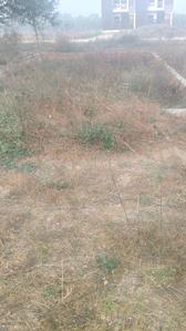 Modipuram, Meerut | Modipuram Map, Pros & Cons, Photos, Reviews and ...