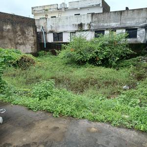 Buy Residential Plots for sale in Bardoli | 4+ Lands for sale in Bardoli