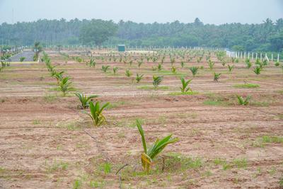 Kinathukadavu, Coimbatore | Kinathukadavu Map, Pros & Cons, Photos ...
