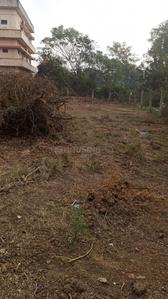 Tadepalligudem, West Godavari | Tadepalligudem Map, Pros & Cons, Photos ...