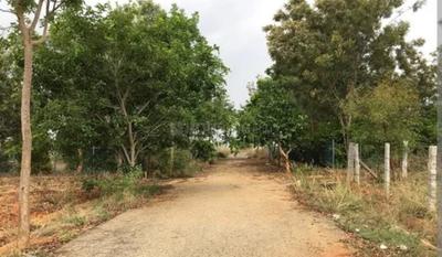 R J Chandradarshan Heights 4 Location Map Roha, Raigad