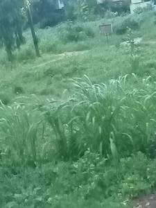 Tadepalligudem, West Godavari | Tadepalligudem Map, Pros & Cons, Photos ...