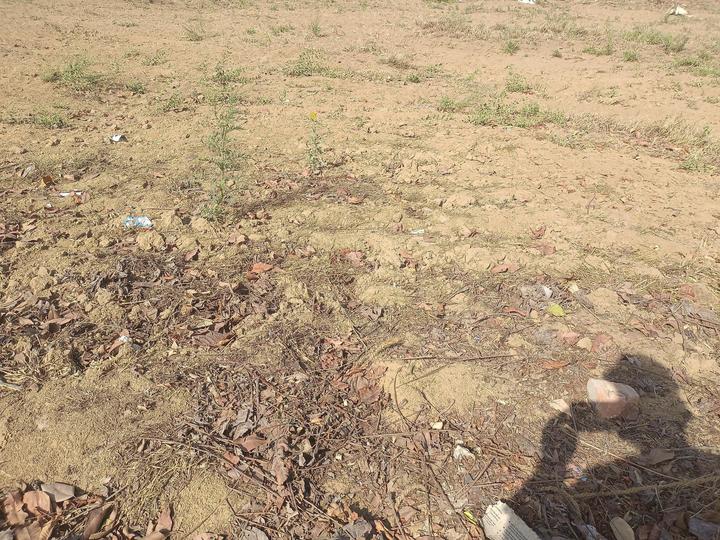 1593 Sqft Residential Plot for sale in Rishali Luxe Residency 112 ...