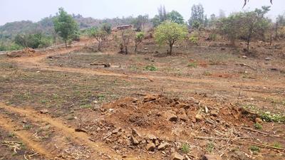 Agricultural Land in Pune | | 42+ Agricultural & Farm Land for Sale in Pune