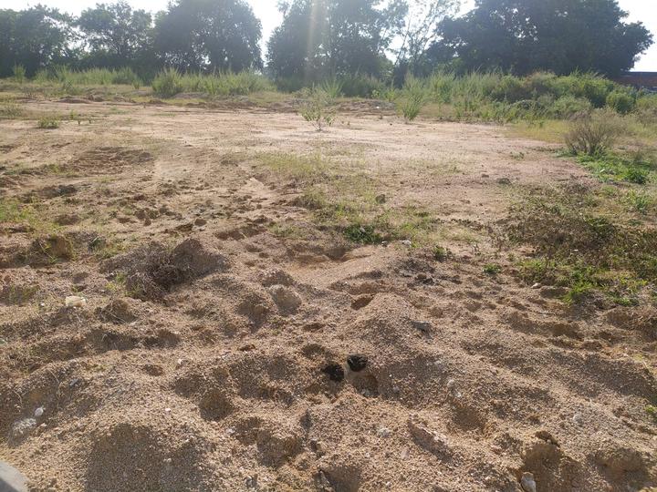 Residential 1323 Sqft Plot for sale at Gundlapochampalli, Hyderabad ...