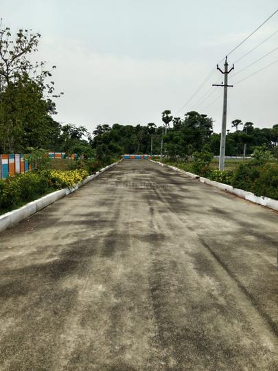 Residential 167 Sqft Plot for sale at Bhogapuram, | Property ID - 12936797