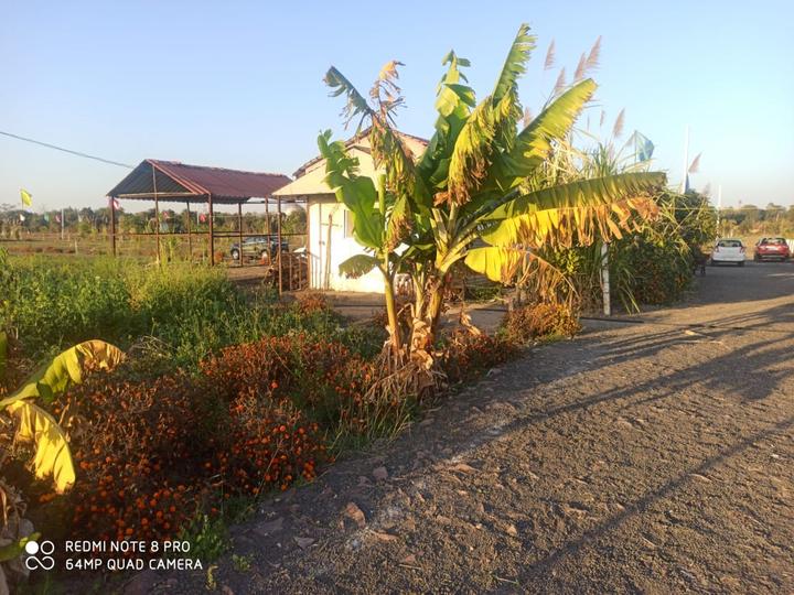 5000 Sqft Agricultural Land for Sale in Phanda Kala, Bhopal | Property ...