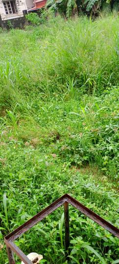 Residential 4802 Sqft Plot for sale at Maroli, Mangalore | Property ID ...