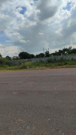 250 sq.ft Commercial Plot for sale in Chevella, Hyderabad | ID - 100484975