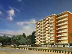 Models Heights Reviews & Ratings Dona Paula, Goa