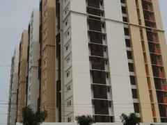 Tulive Horizon Residences Reviews & Ratings Saligramam, Chennai