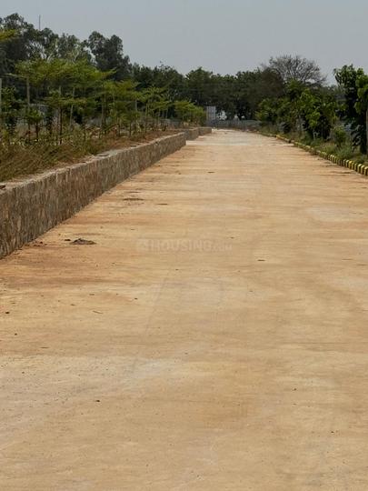 Samala Narsi Reddy Golden Eye in Sangareddy, Hyderabad - Price, Reviews ...