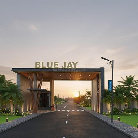 Sri Baby Blue Jay in Pappampatti Pirivu, Coimbatore - Price, Reviews ...