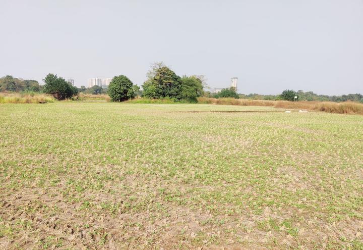 Zamindar Plots Chirle in Chirle, Navi Mumbai - Price, Reviews & Floor Plan