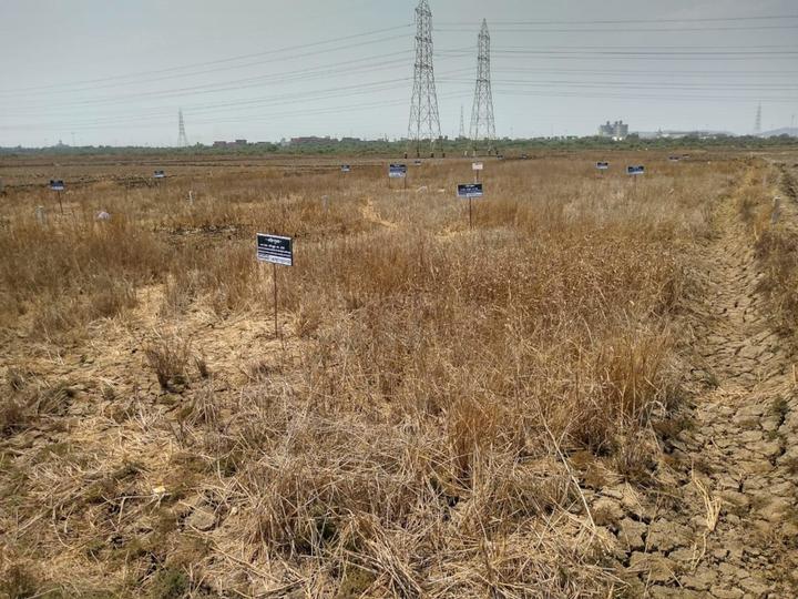 Mipl Mahamumbai Infratech Residential And Commercial Plots In Mira ...