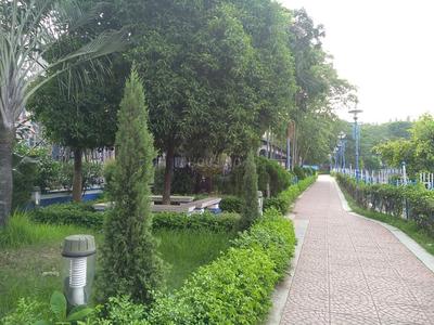 Behala, Kolkata | Behala Map, Pros & Cons, Photos, Reviews and Property ...