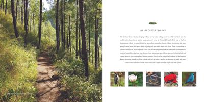 Ssrn Infracon Llp The Whispering Pines in Patta, Solan - Price, Reviews ...