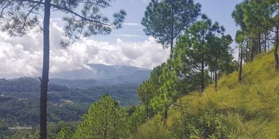 Ssrn Infracon Llp The Whispering Pines in Patta, Solan - Price, Reviews ...