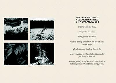 Adi Elementis in Ravet, Pune - Price, Reviews & Floor Plan